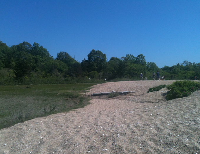 CT closer to establishing national research reserve | Connecticut Sea ...
