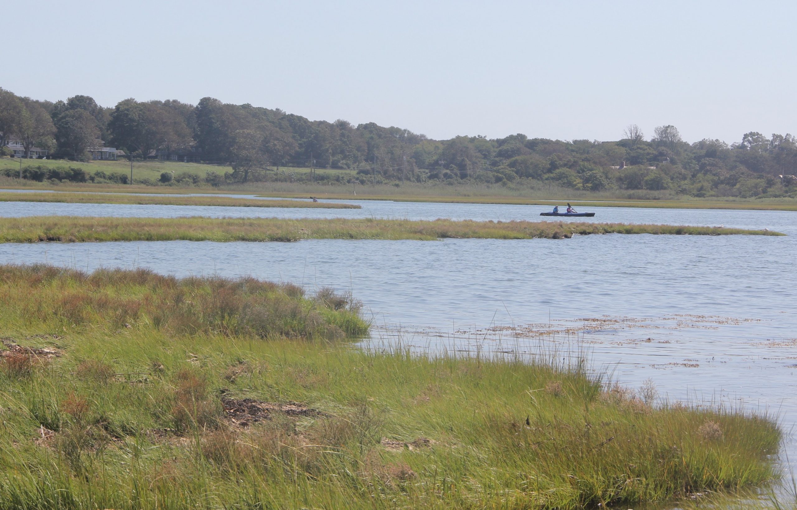 Lesson on climate change and marshes created for high schools ...