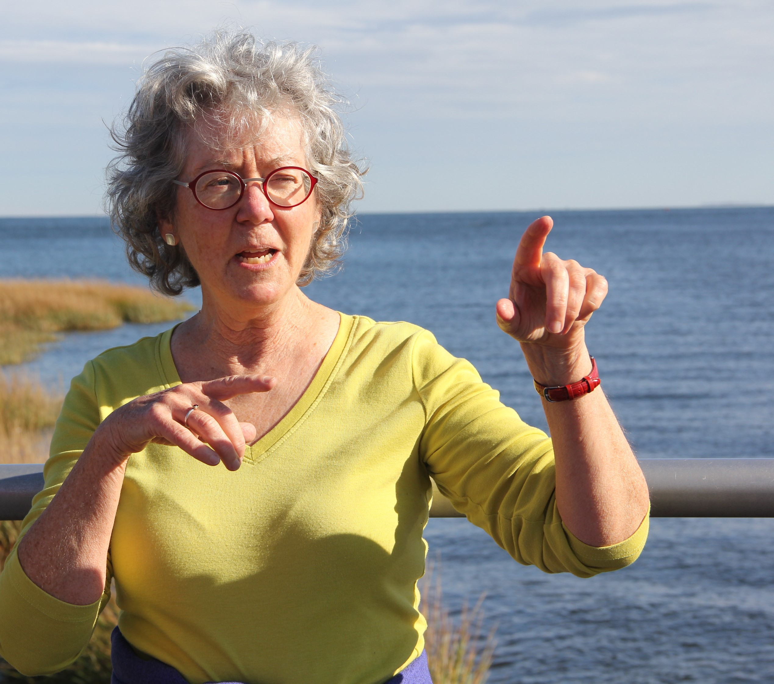 Judy Preston offers talk titled 'The New Lawn' | Connecticut Sea Grant ...