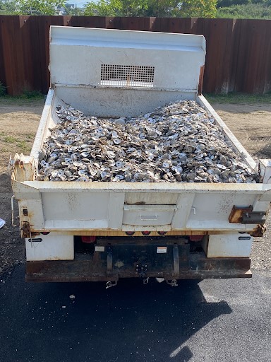 Shell recycling initiative being introduced in Connecticut ...