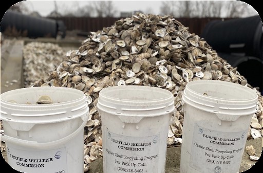 Shell recycling initiative being introduced in Connecticut | Connecticut Sea Grant