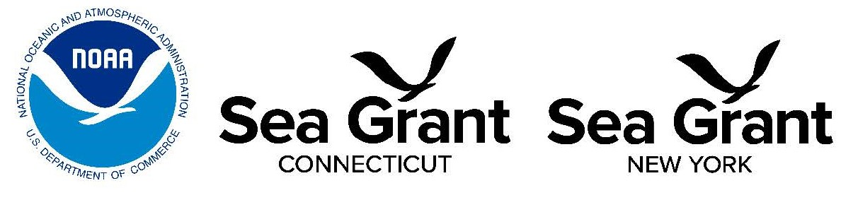Marine Debris in Long Island Sound | Connecticut Sea Grant