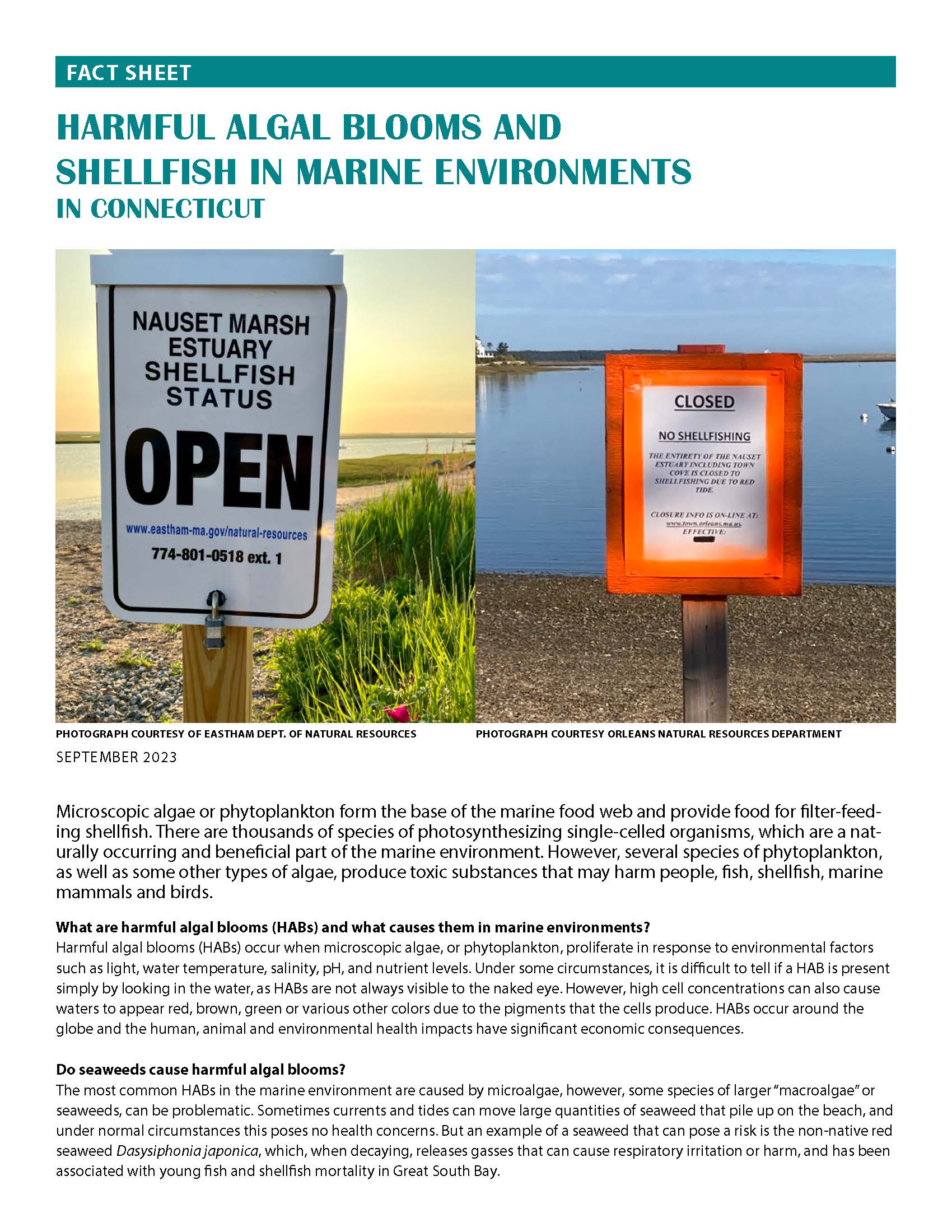 Harmful algal blooms explained in new fact sheet | Connecticut Sea Grant