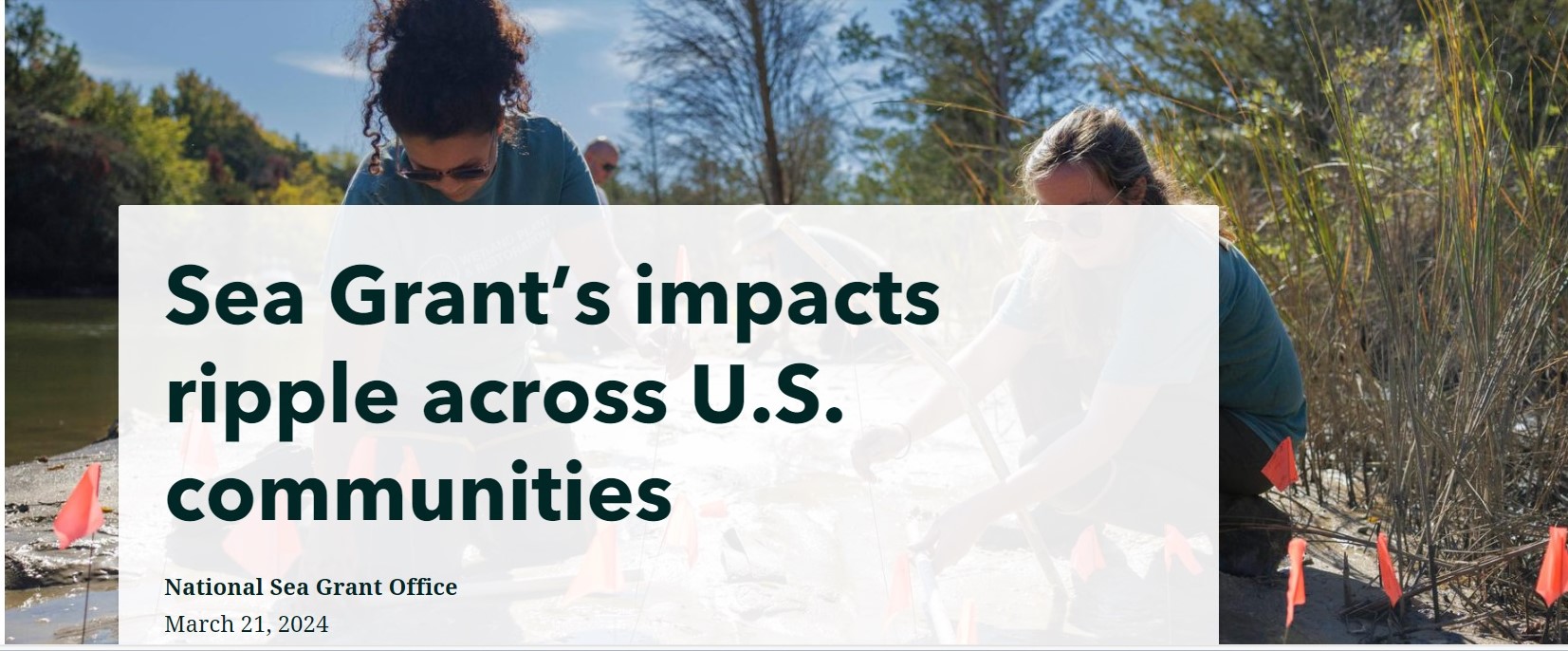 Sea Grant's impacts ripple across U.S. communities | Connecticut Sea Grant