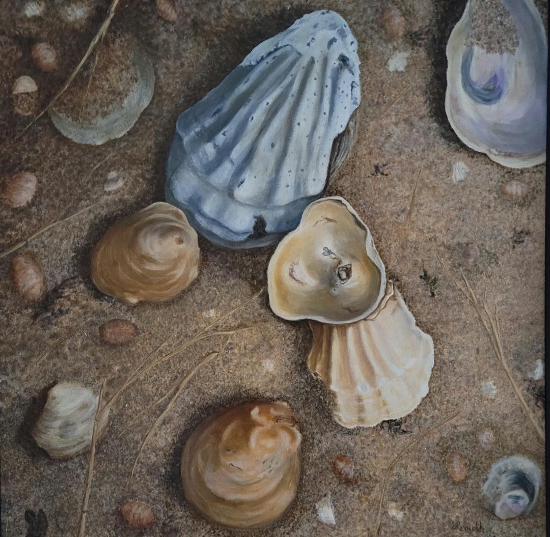 CTSG-supported artists inspired by flyway, LIS shellfish | Connecticut ...